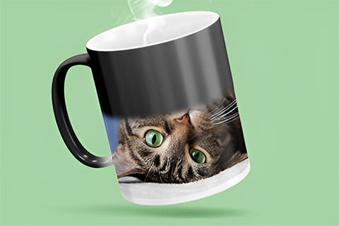 Photo Mug: Personalised Mugs with Pictures 75% OFF | My Picture UK
